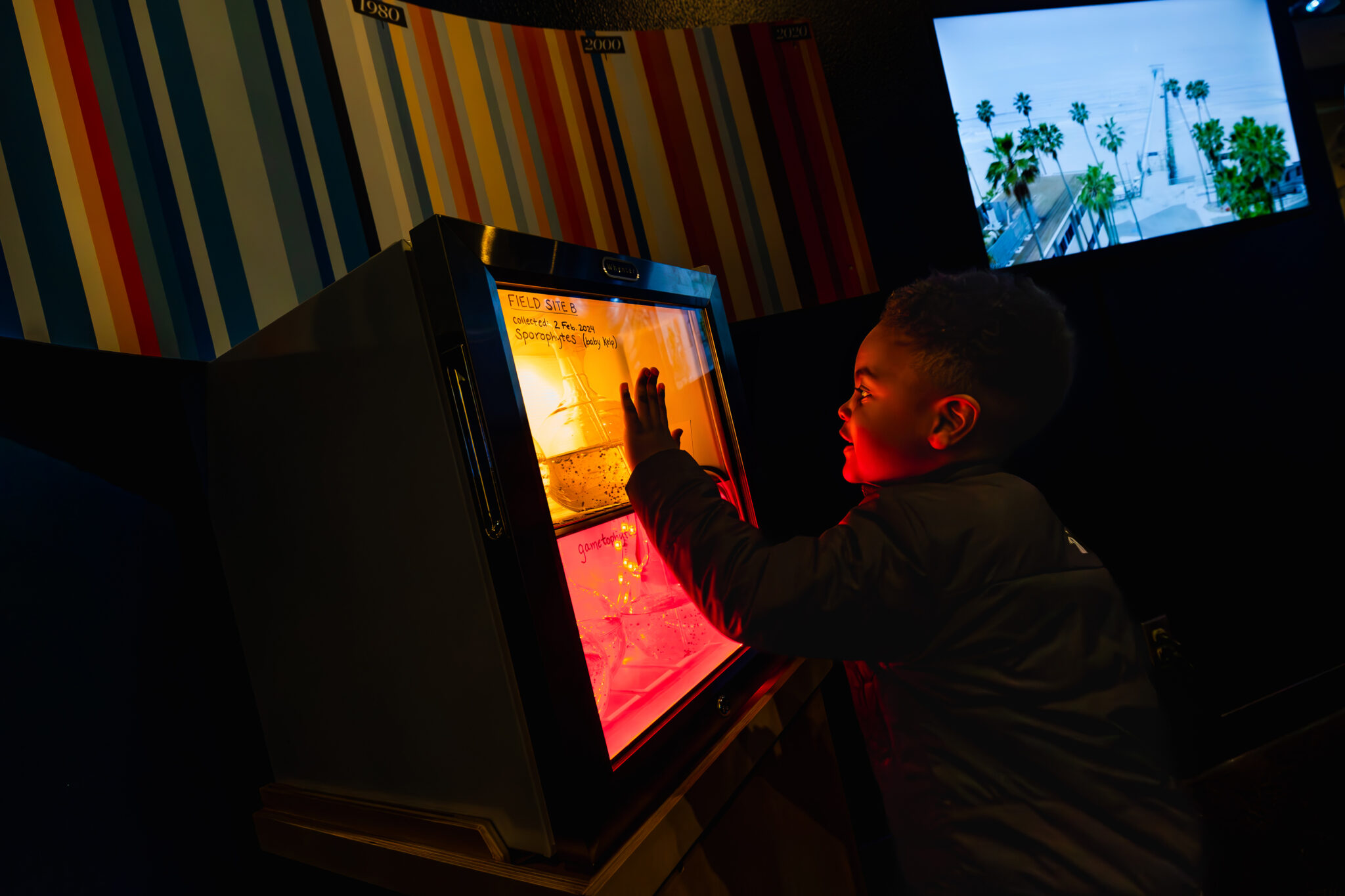 Hold Fast Art Exhibit: A Newly-Opened Exhibit at Birch Aquarium